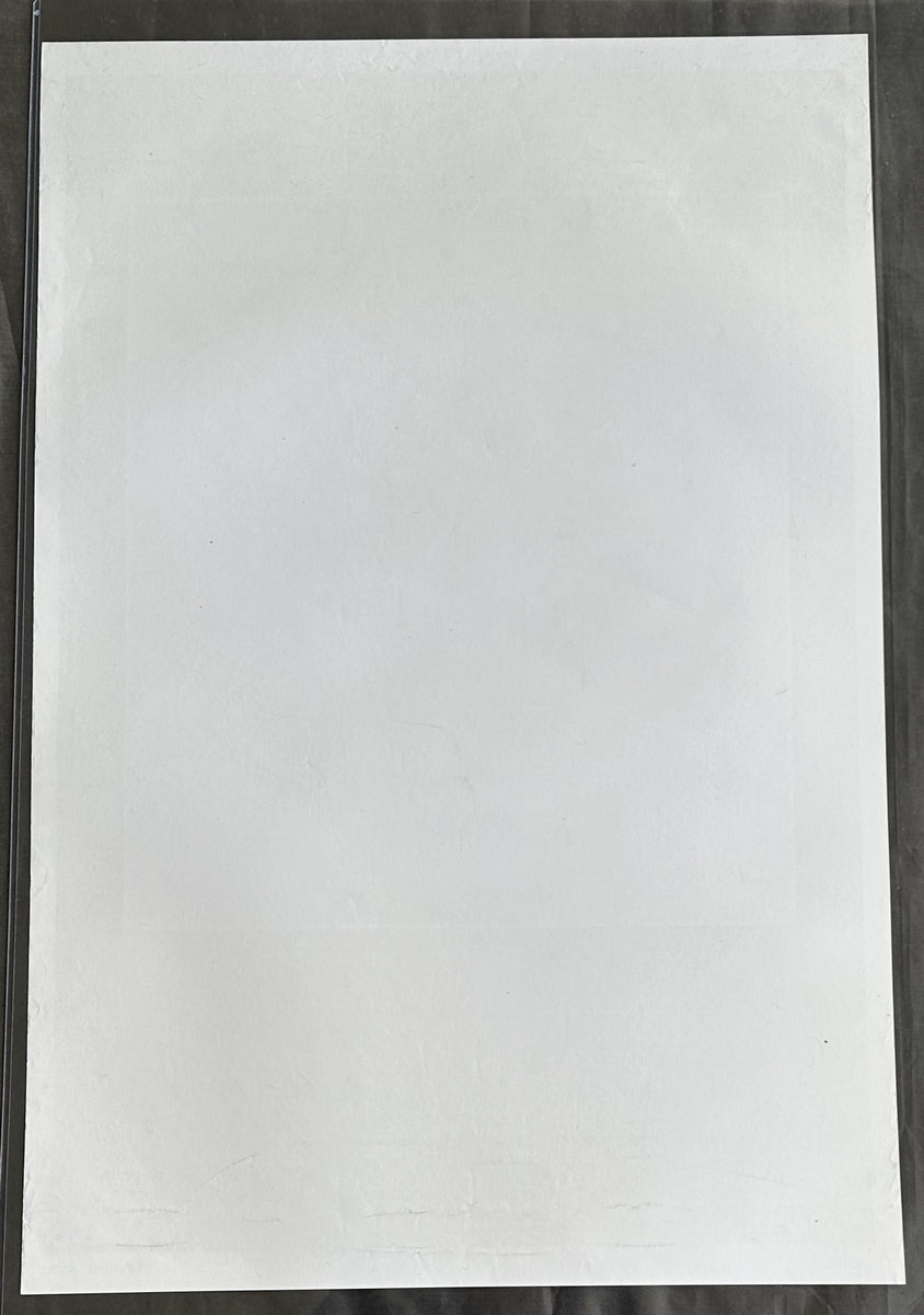 LAMOTTA, JAKE SIGNED RAGING BULL POSTER – JO Sports Inc.