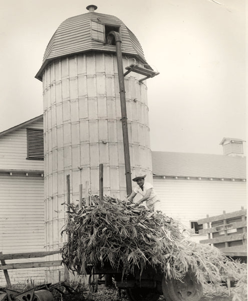 CANZONERI, TONY WIRE PHOTO (DOING FARM WORK) – JO Sports Inc.